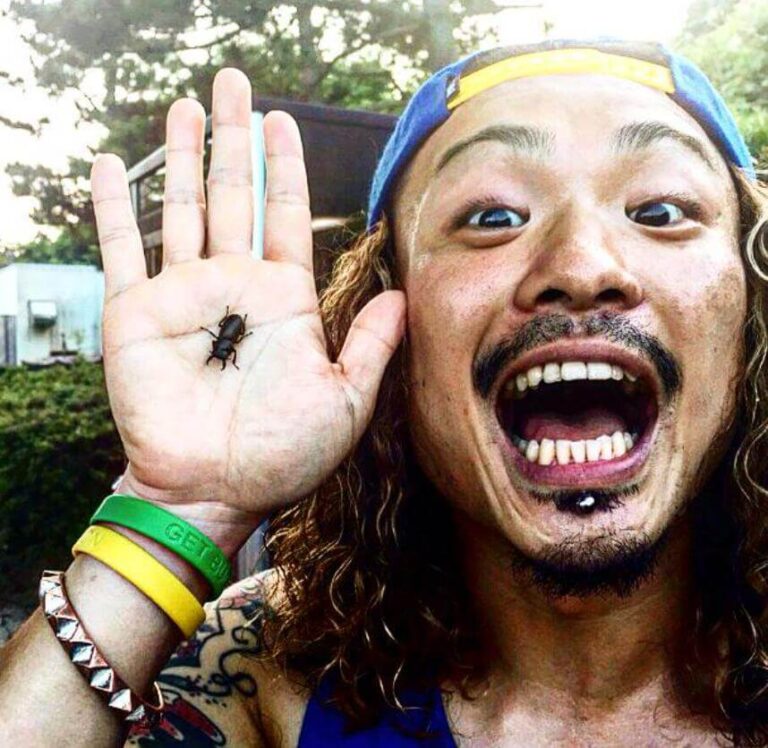 オッドアイを持つ有名日本人4人と海外スター16人、アニメキャラを紹介、原因や確率、動物の画像も